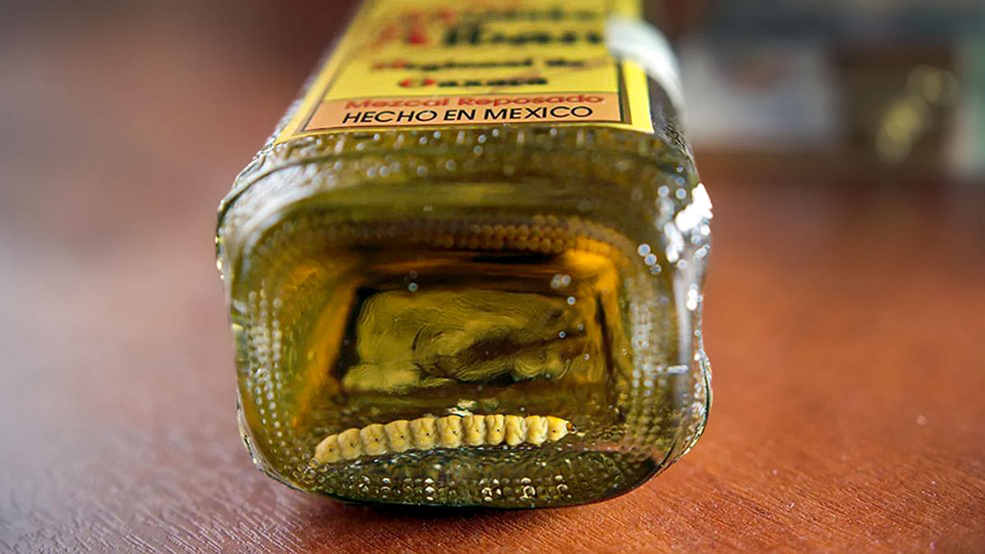 Cómo beber el Mezcal: ¿con o sin gusano? - deCepas